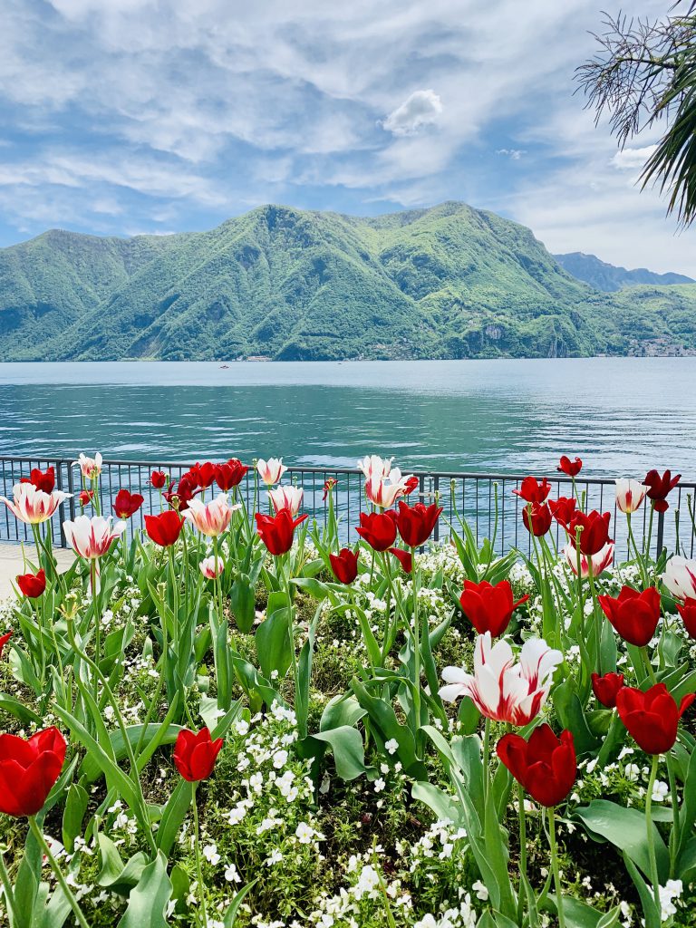 Interview: Georgian students experience Europe - Georgian College