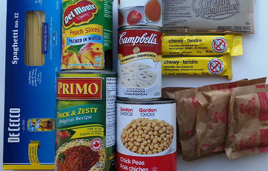 Georgian College Students' Association