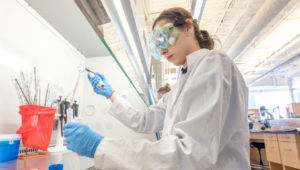 New programs - Georgian College